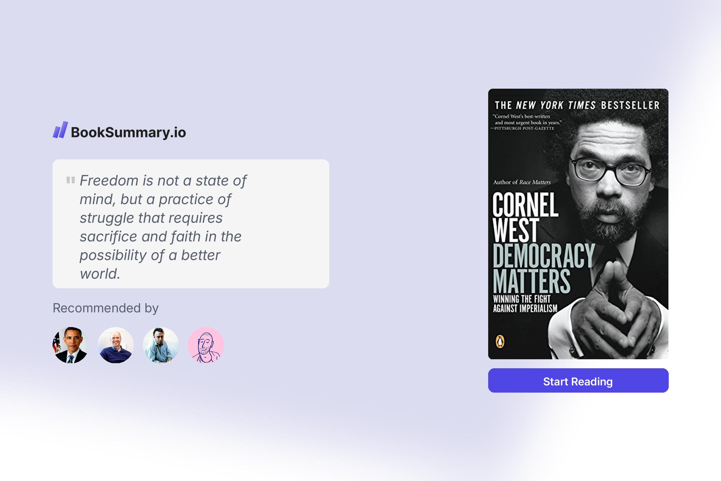 Democracy Matters Book Summary