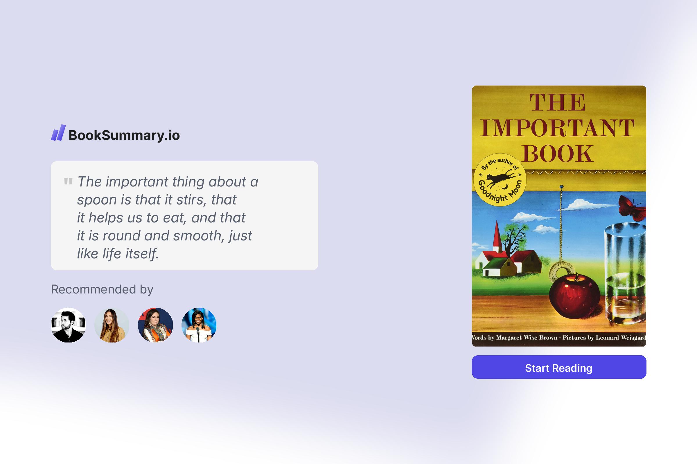 The Important Book Book Summary